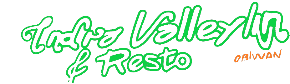 INDRA VALLEY INN BUKIT LAWANG - JUNGLE TREKKING